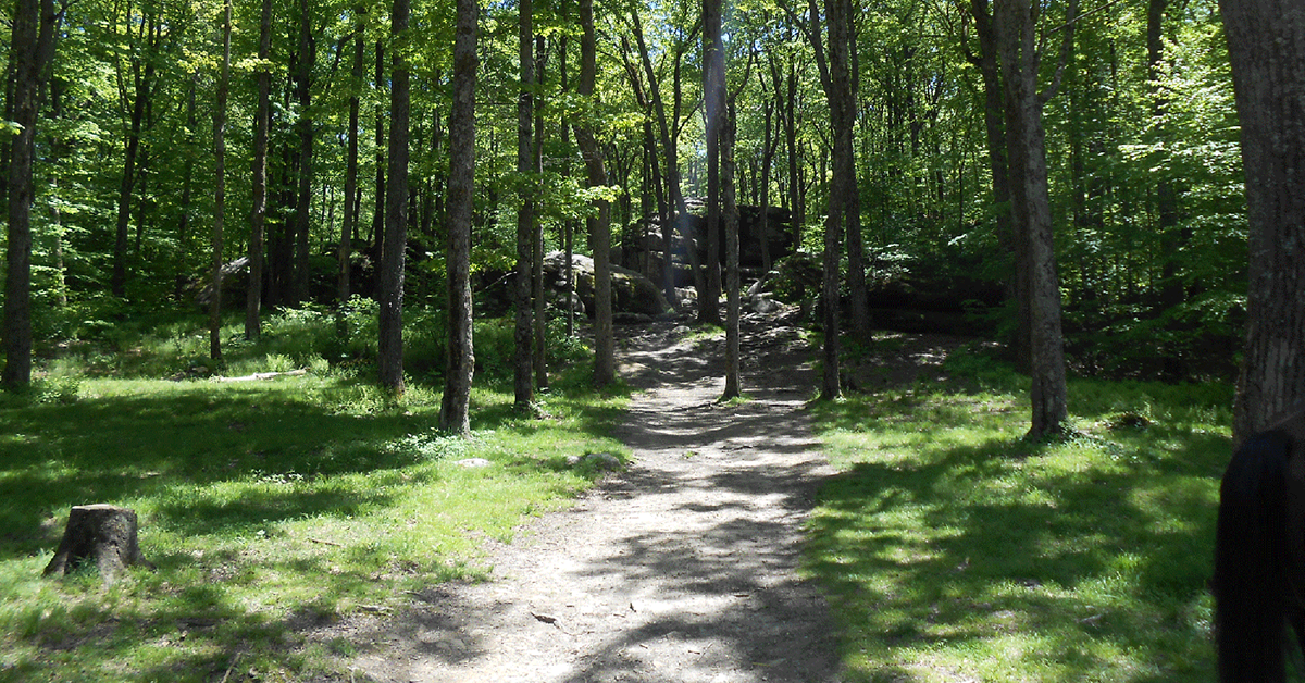 Allegany State Park Equestrian Trails - Trail Rider's Path