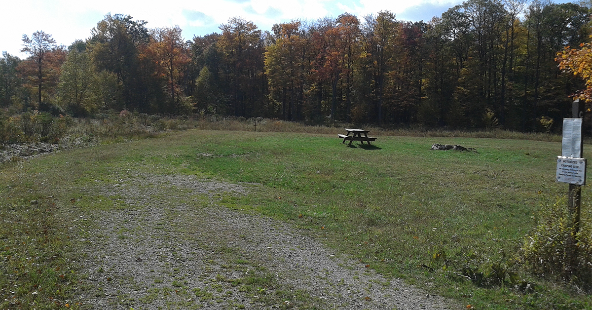 Laurel Highlands Trail System - Forbes State Forest - Trail Rider's Path
