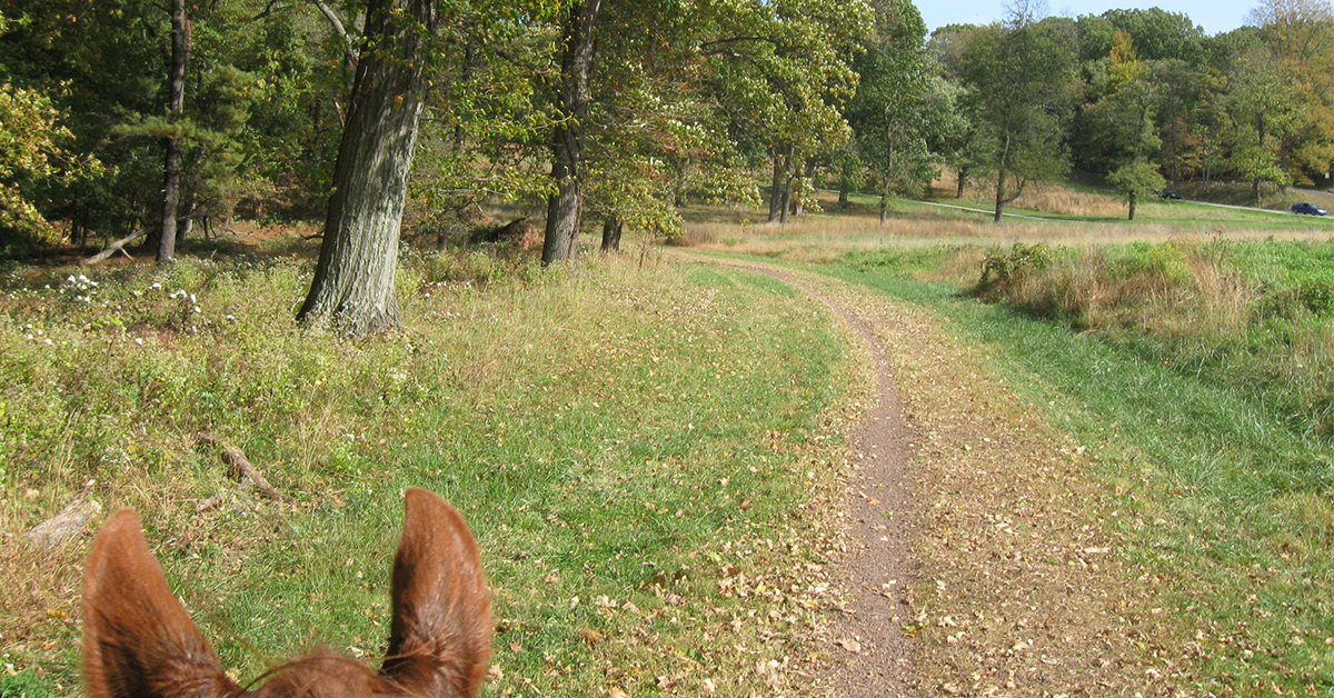 Valley Forge National Historic Park - Trail Rider's Path
