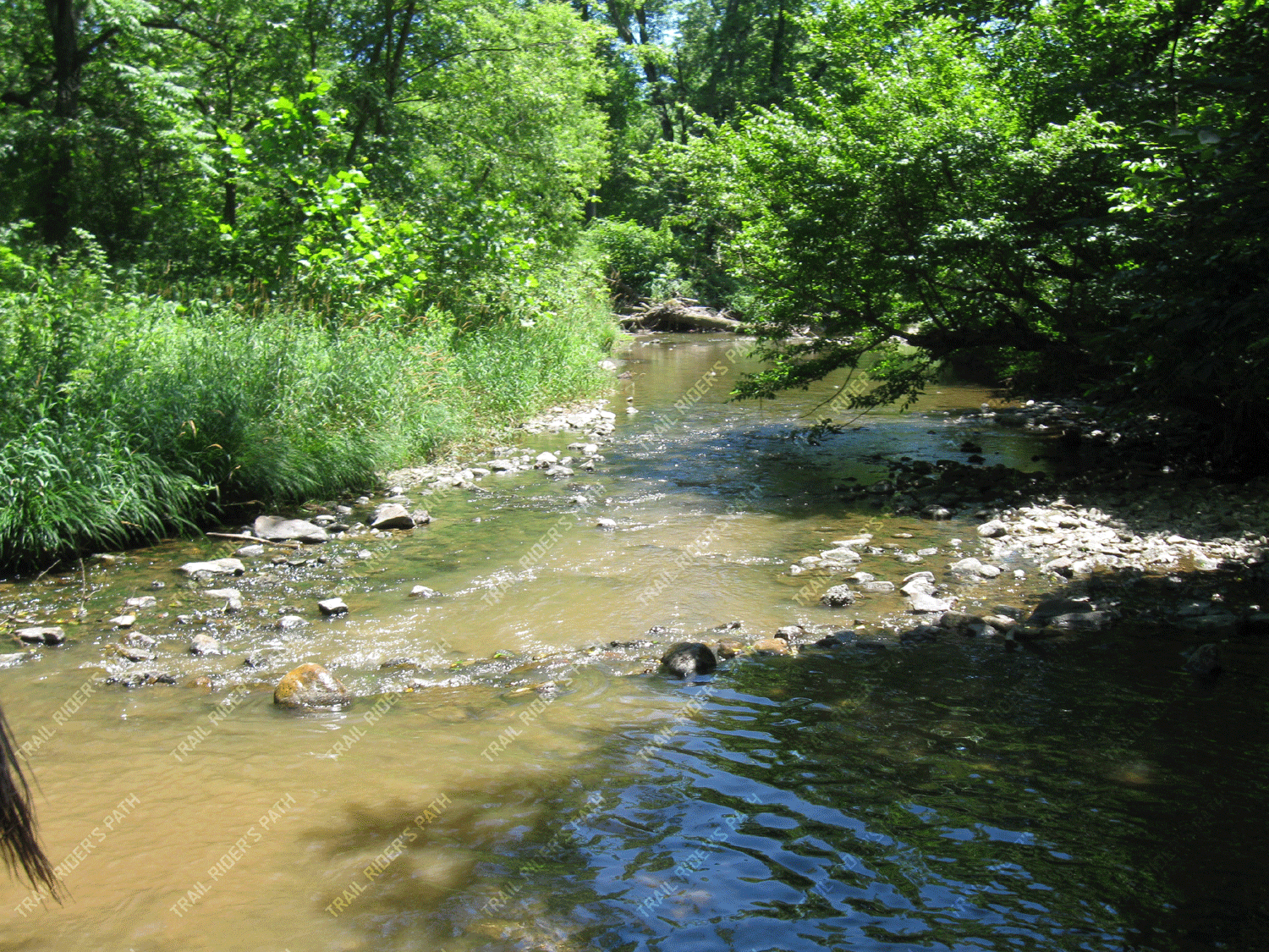 Jacobsburg State Park - Trail Rider's Path