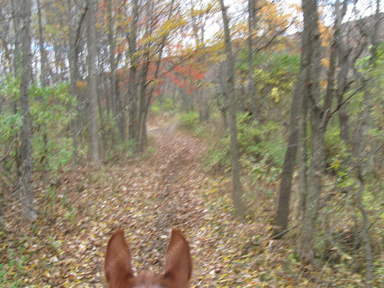 Canoe Creek State Park - Trail Rider's Path