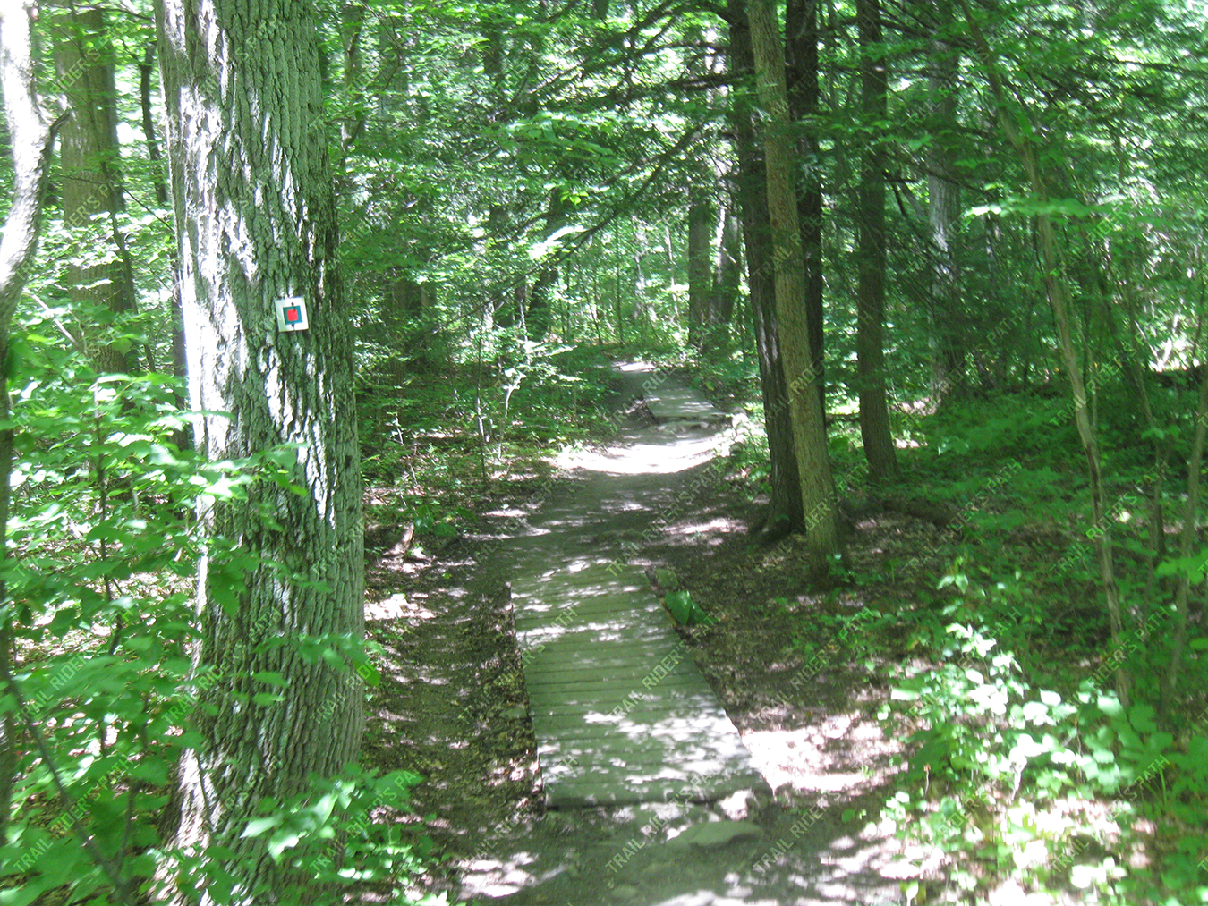 Jacobsburg State Park - Trail Rider's Path
