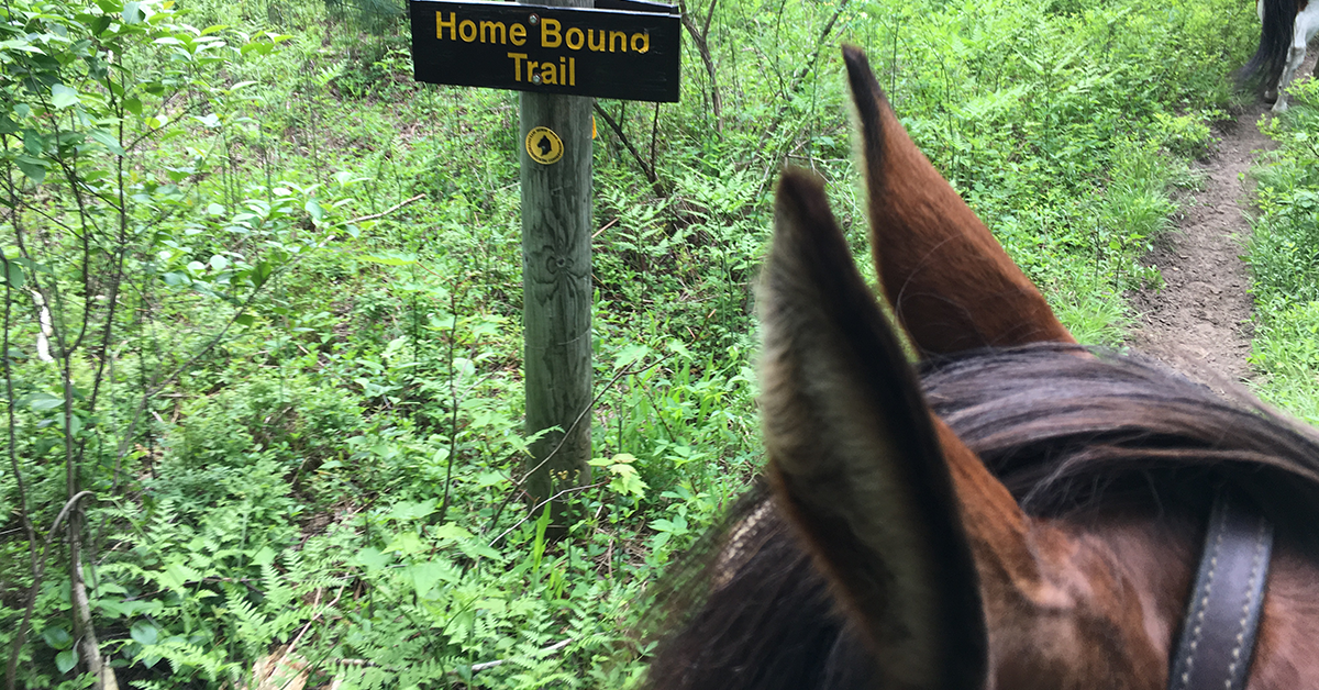Best Horse Trails & Trail Riding Maps - Trail Rider's Path