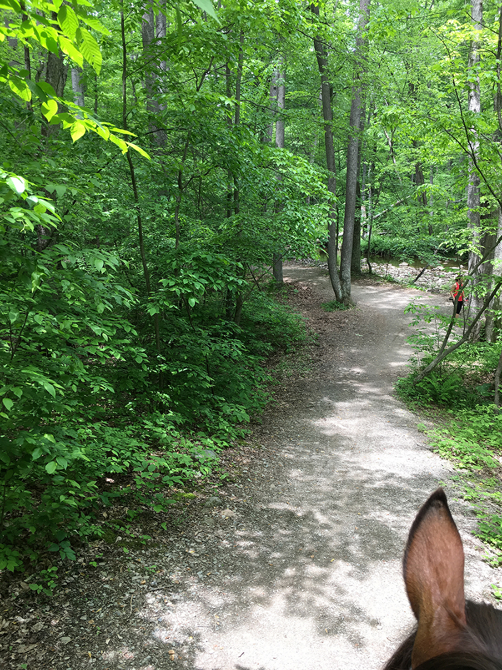 Jacobsburg State Park - Trail Rider's Path