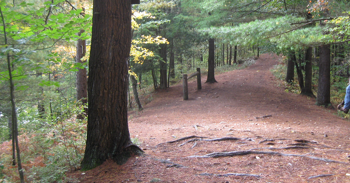 Best New York State Horse Trails - Trail Rider's Path